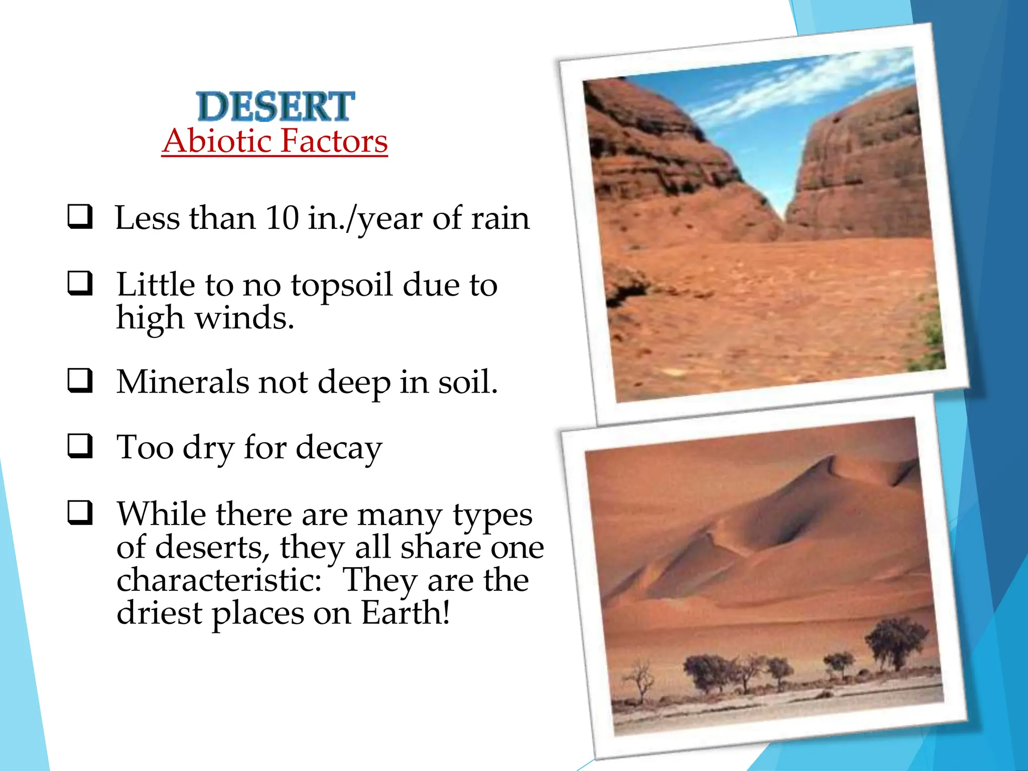 Envisci 9Envisci 9Envisci 9Envisci 9.pptx