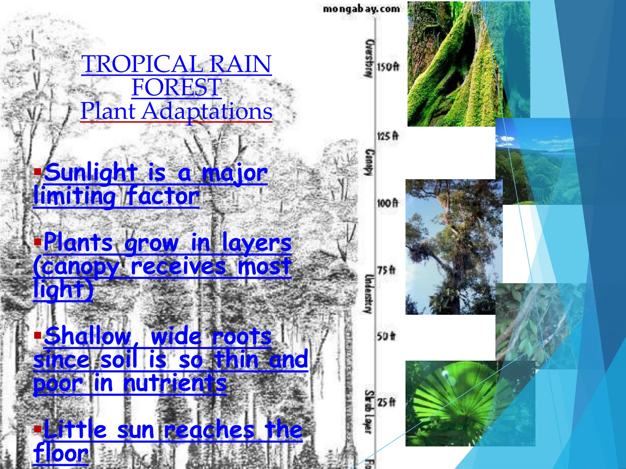 Envisci 9Envisci 9Envisci 9Envisci 9.pptx
