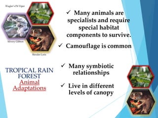 Envisci 9Envisci 9Envisci 9Envisci 9.pptx