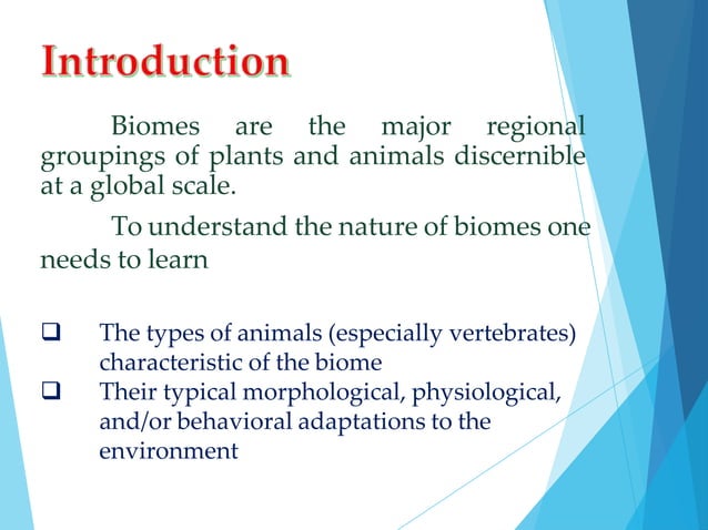 Envisci 9Envisci 9Envisci 9Envisci 9.pptx