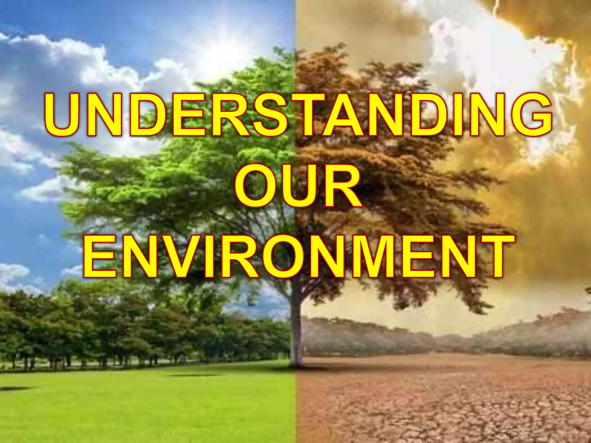 UNDERSTANDING OUR ENVIRONMENT | PPTX