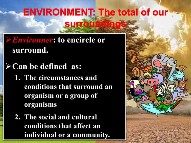 UNDERSTANDING OUR ENVIRONMENT | PPTX | Environment | Science