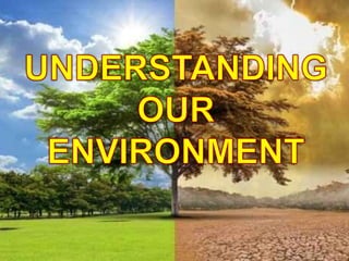 UNDERSTANDING OUR ENVIRONMENT | PPT