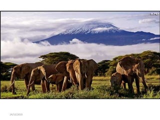 Kenya Tourism Pictures | PPTX
