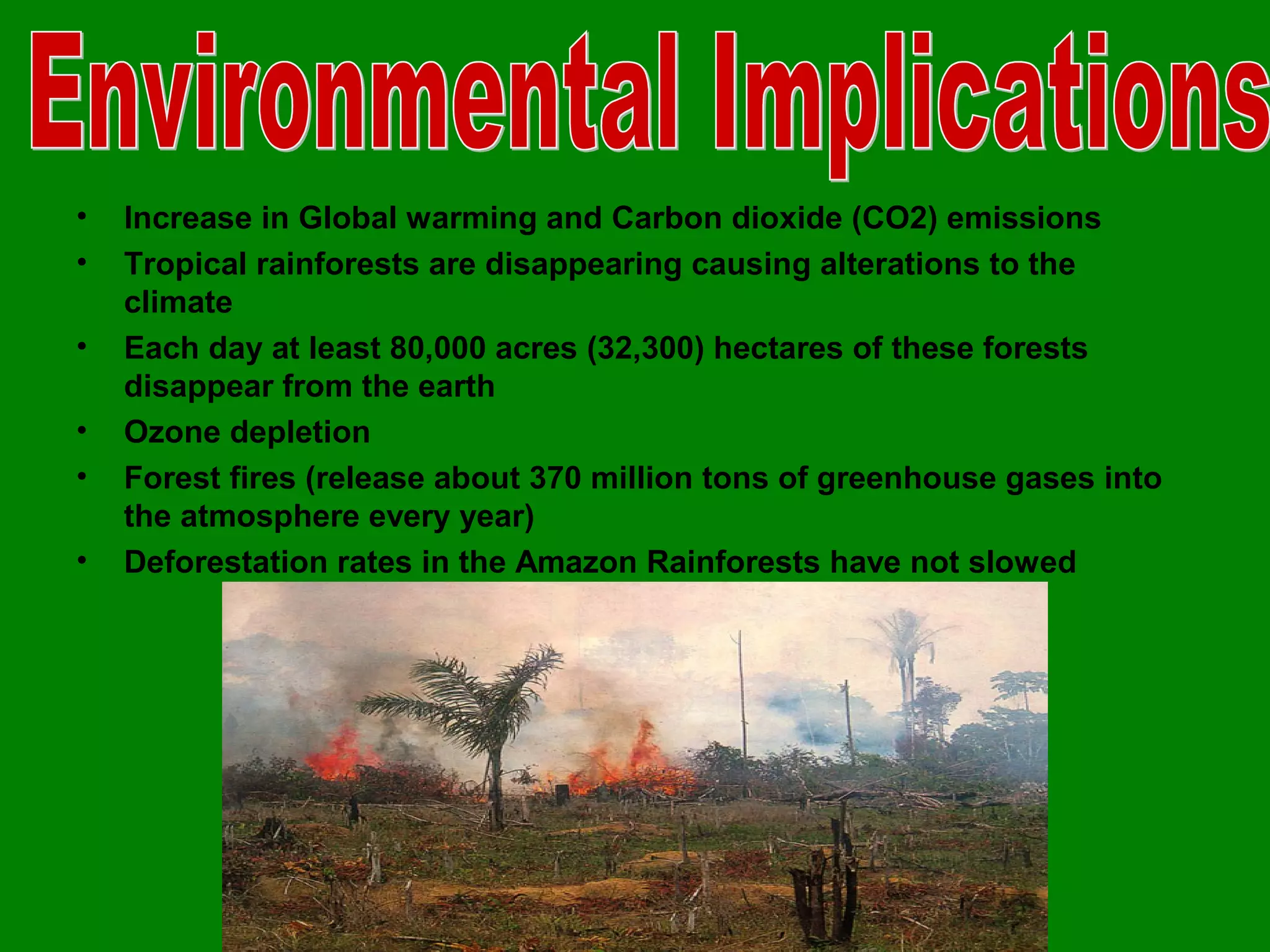Deforestation | PPT