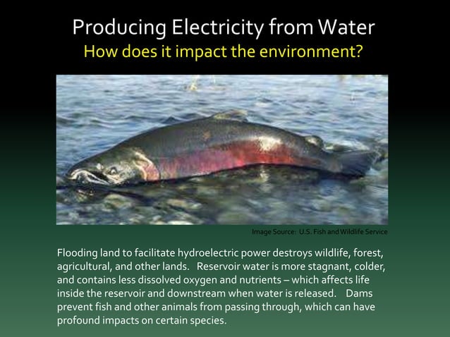 Environmental Impacts of Electricity Production | PPTX | Power and ...