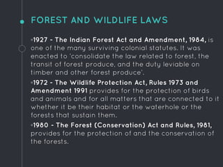 Environment Laws | PPT