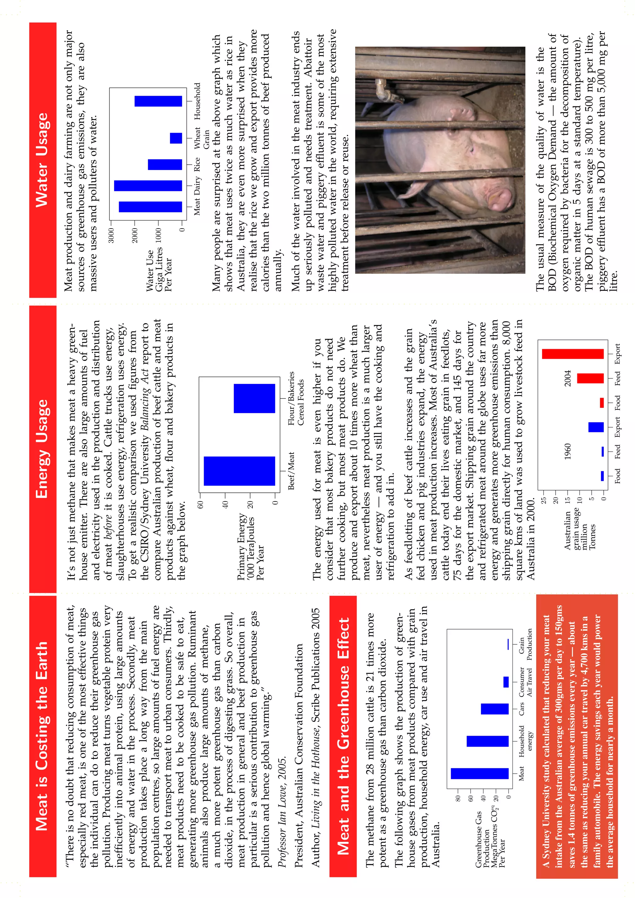 Environment Leaflet | PDF