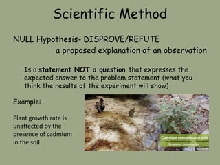 ENV management - Introduction Powerpoint | PPT