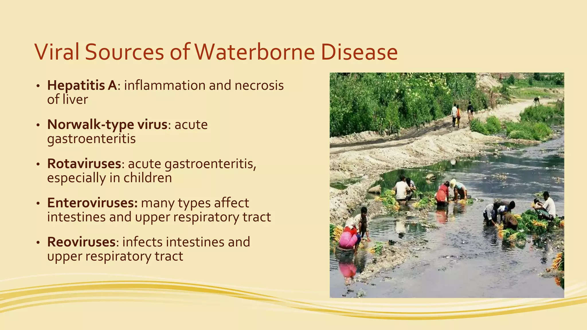 Env Microbiology-Lecture 01 water Microbiology.pptx