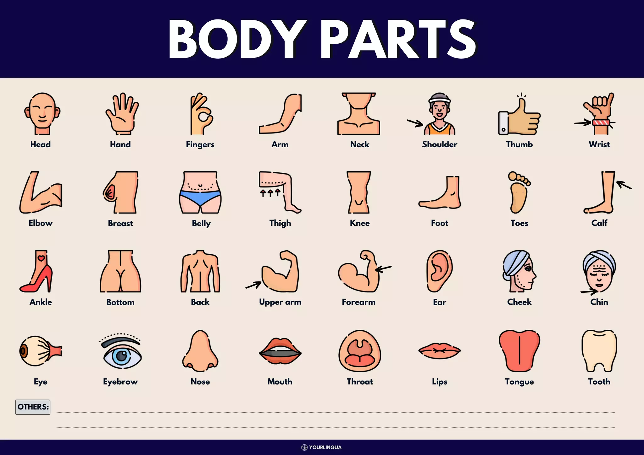 EN VOC BODY PARTS.pdf