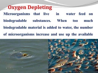 Oxygen Depletion Pollution