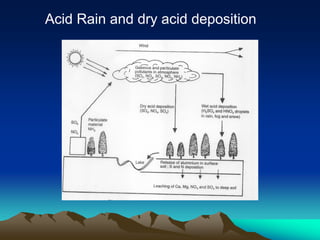 Environmental Pollution; Types, Causes & Resolutions. IITR | PPT