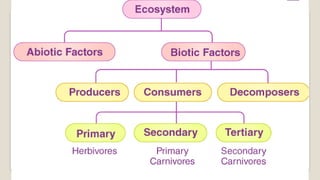 ENVS related bbbbbbbbbbbbbbbbbbbbbbbbbbbbbbbbbbbbbbbbbb | PPT