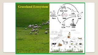 ENVS related bbbbbbbbbbbbbbbbbbbbbbbbbbbbbbbbbbbbbbbbbb | PPT