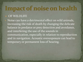 Noise Pollution | PPT