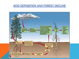 Air Pollution | PPT | Indoor Environmental Quality | Home & Garden