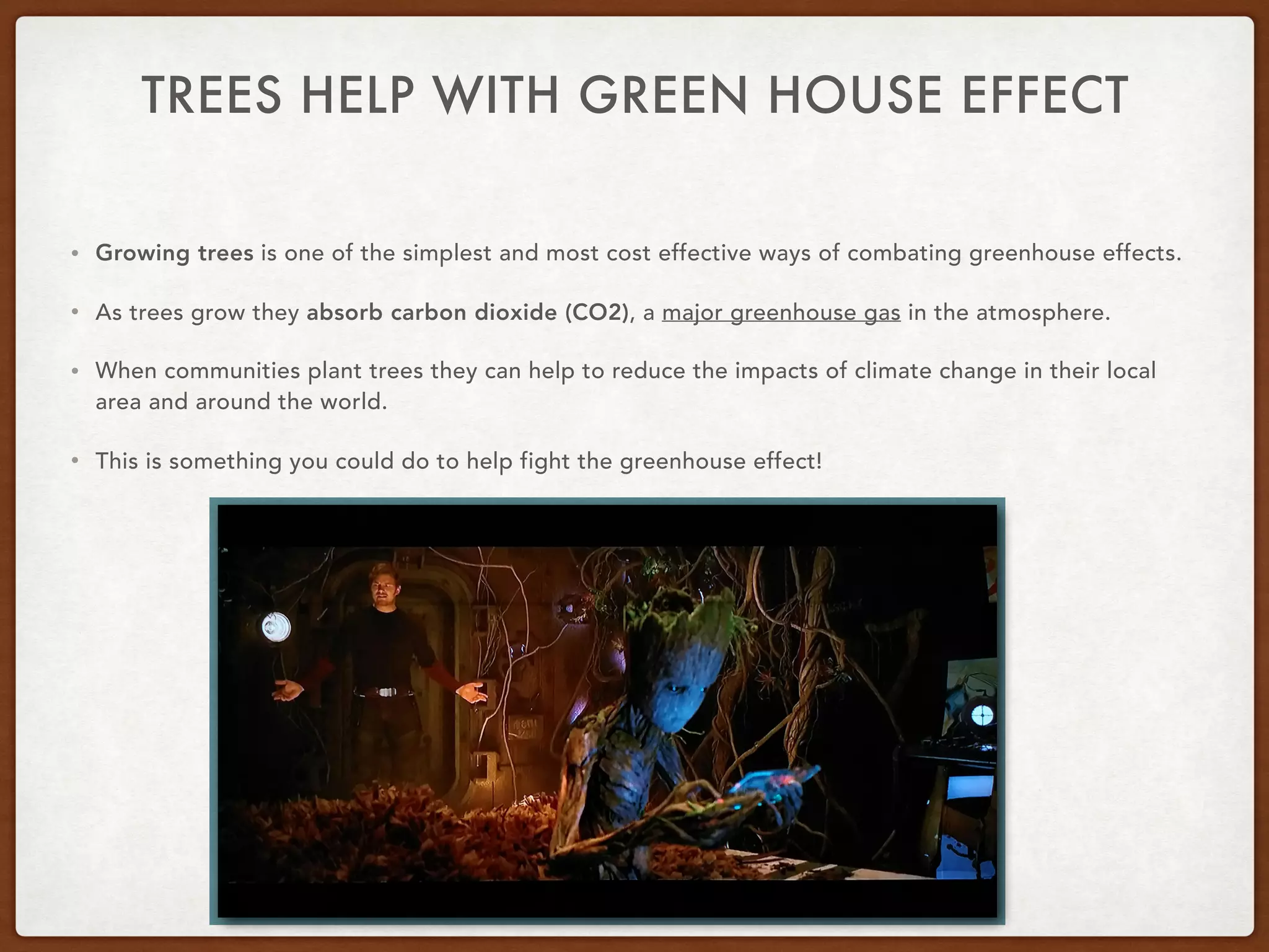 Env Science - Lesson 5 | PDF