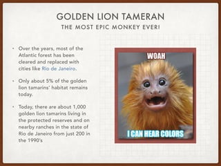 Env Science - Lesson 5 | PDF