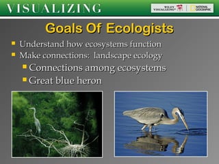 Env sci lecture5 | PPT
