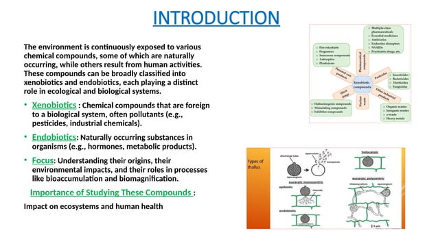 evs ppt for education which is good.pptx