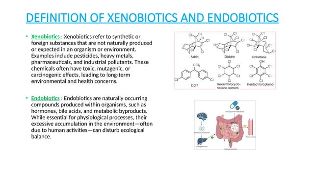 evs ppt for education which is good.pptx