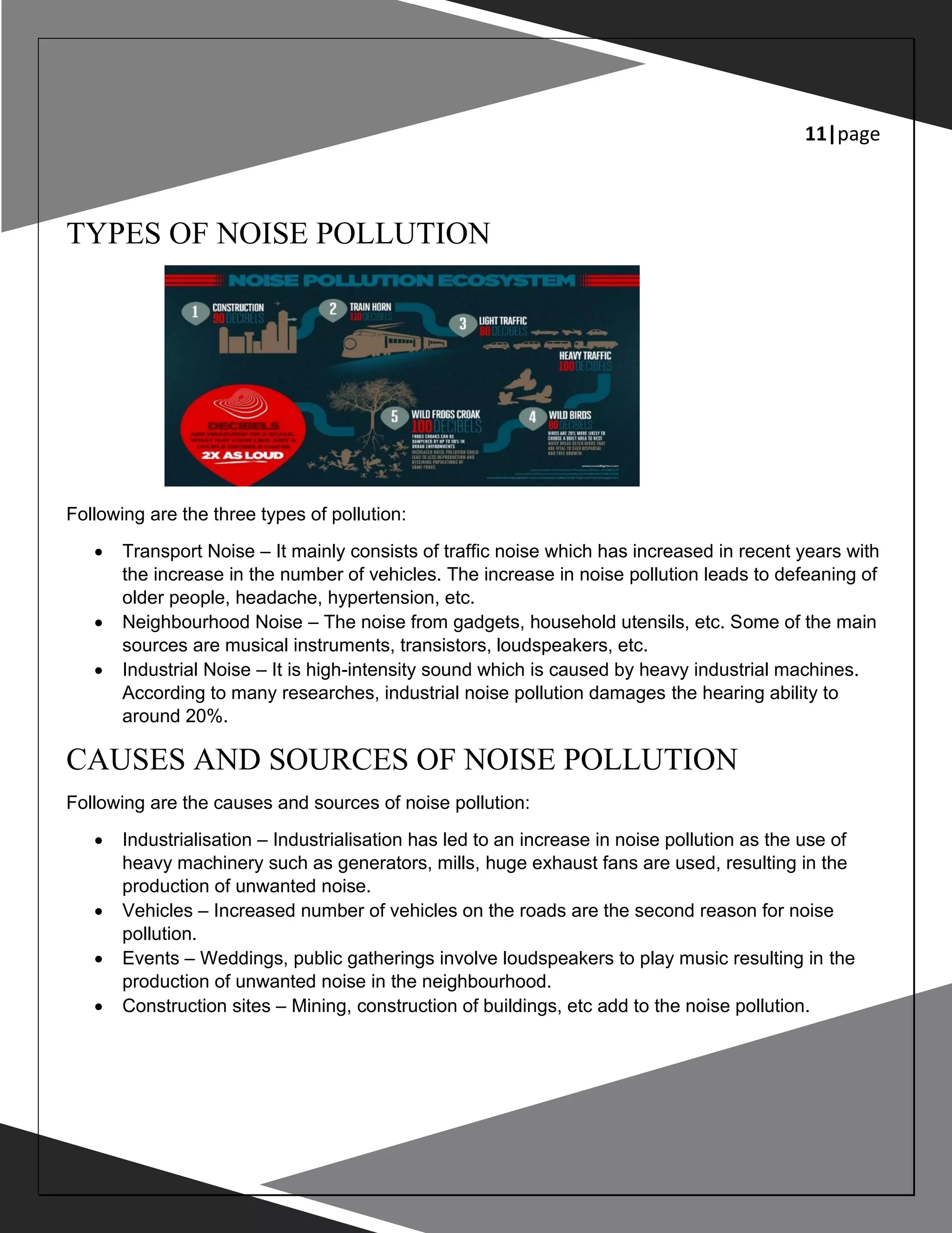 Pollution - Environmental Studies Project | PDF