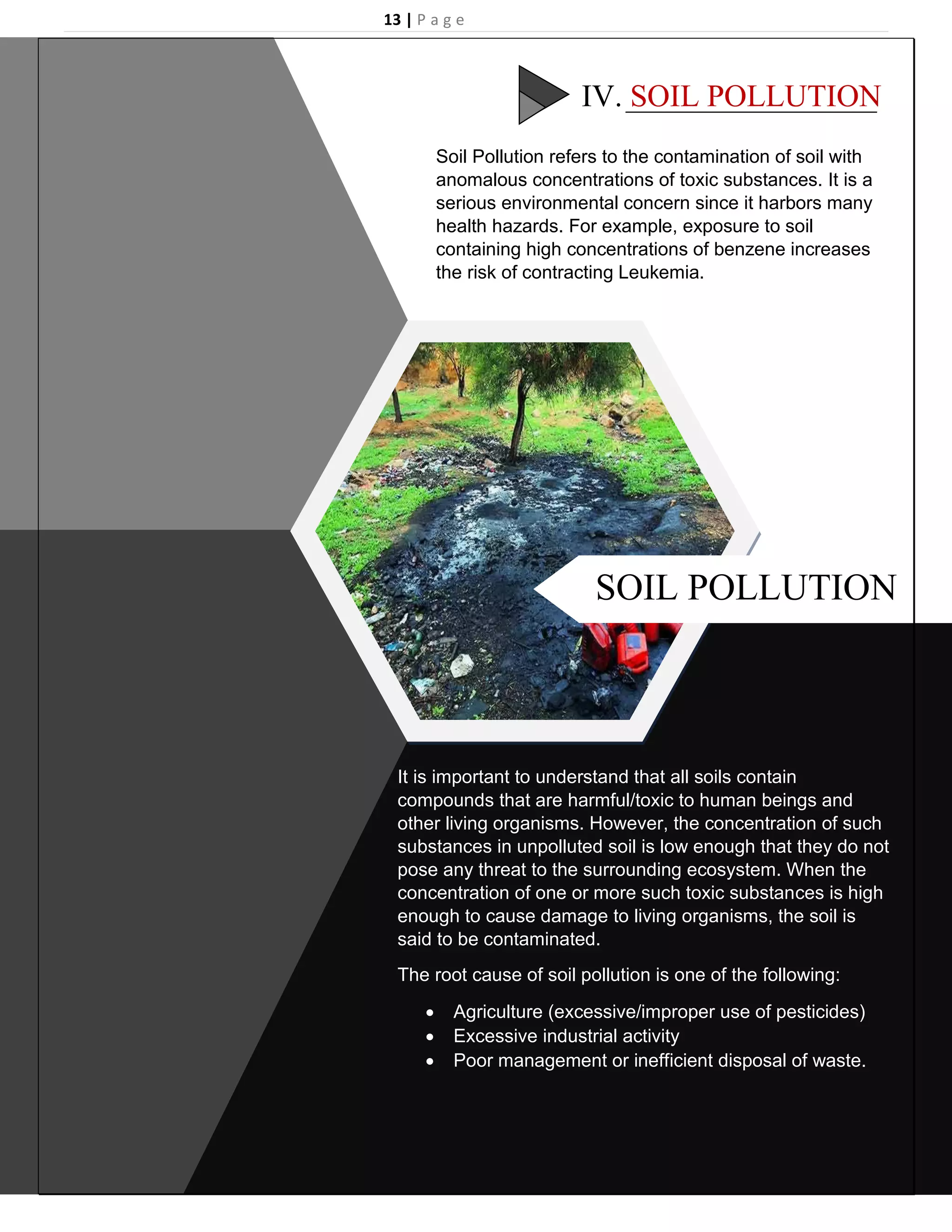 Pollution - Environmental Studies Project | PDF
