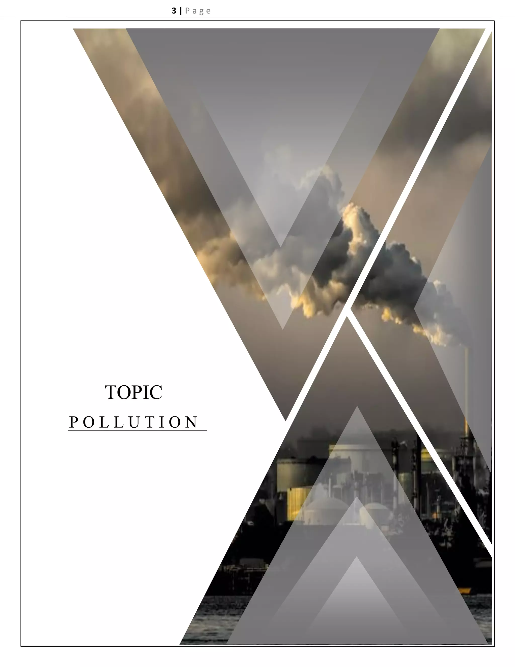 Pollution - Environmental Studies Project | PDF