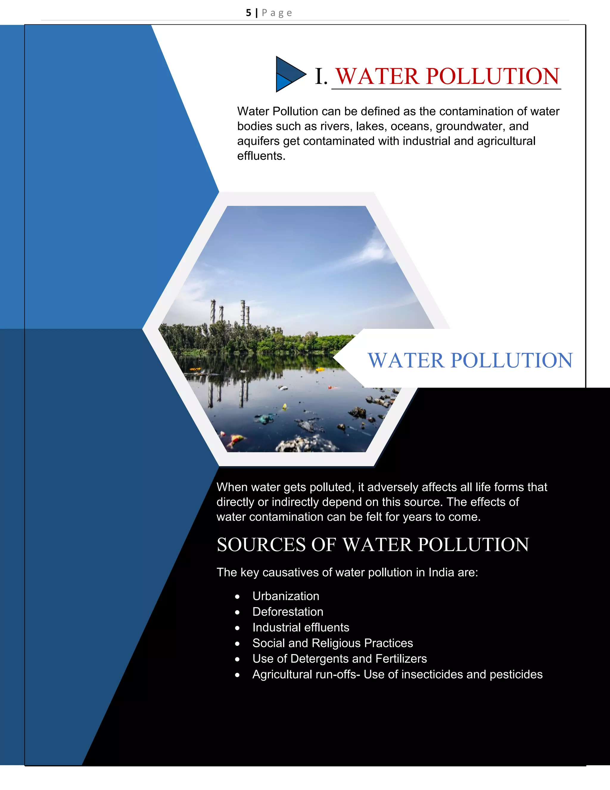 Pollution - Environmental Studies Project | PDF
