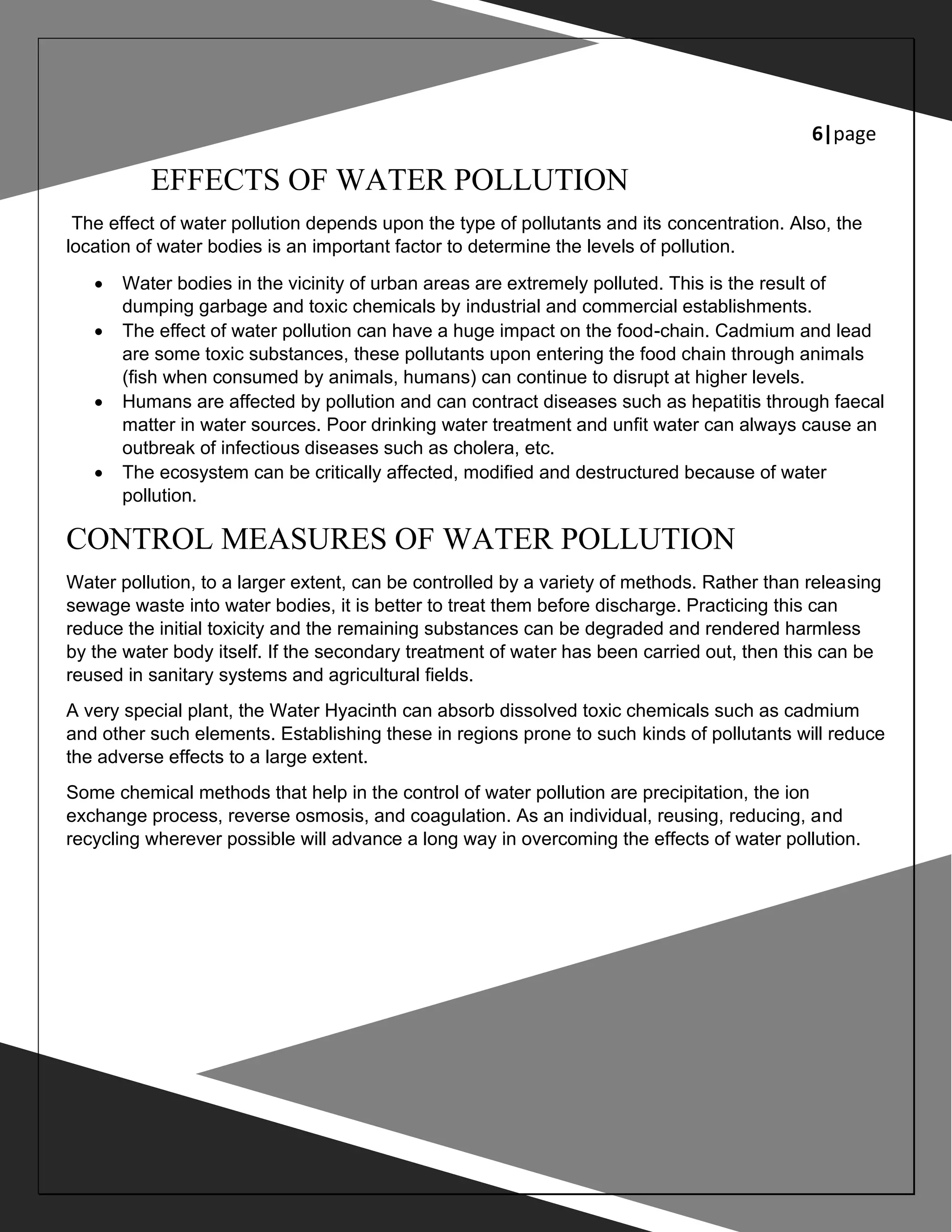 Pollution - Environmental Studies Project | PDF
