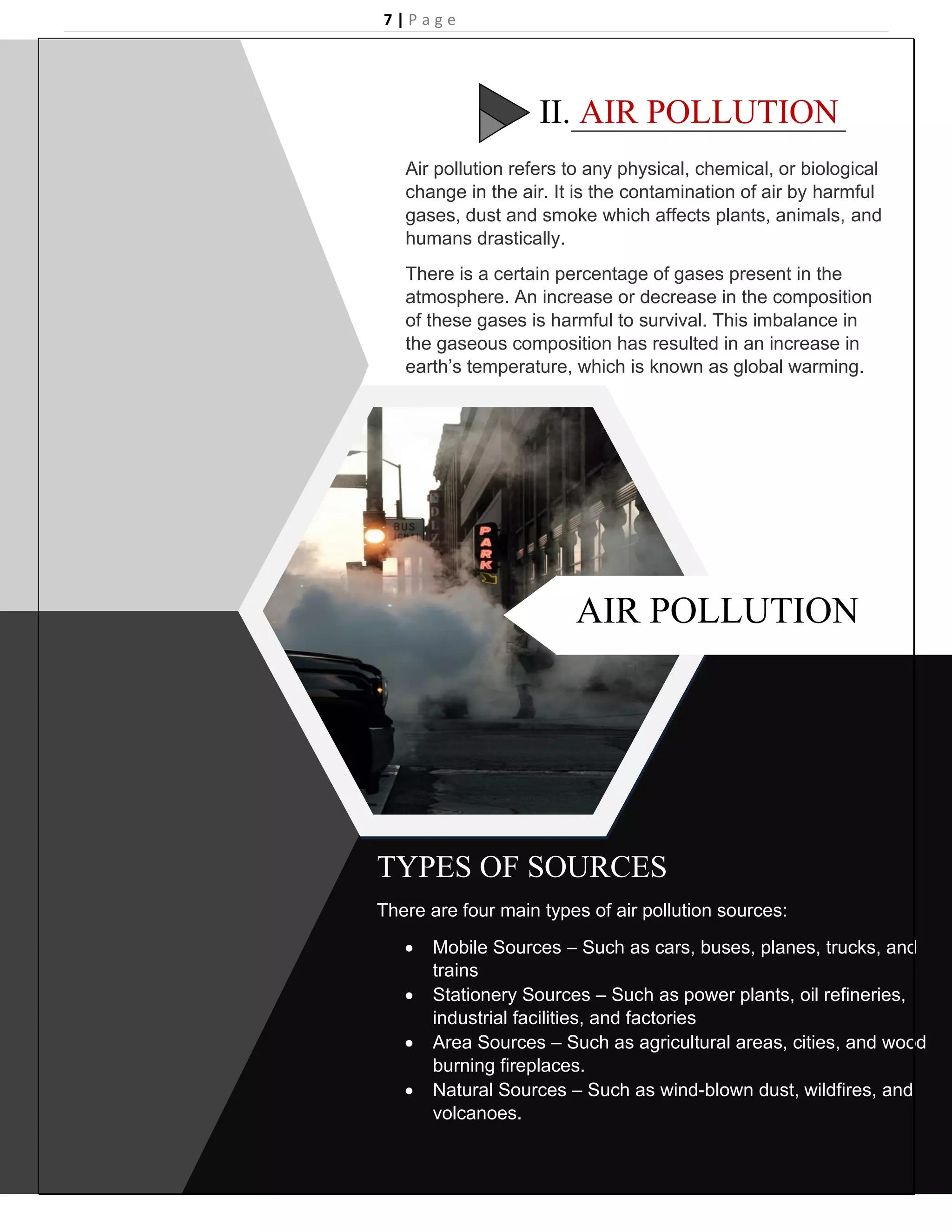 Pollution - Environmental Studies Project | PDF