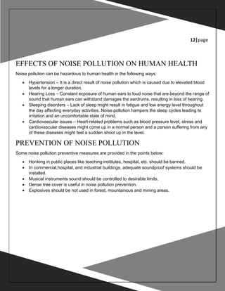 Pollution - Environmental Studies Project | PDF