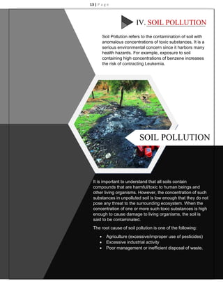Pollution - Environmental Studies Project | PDF