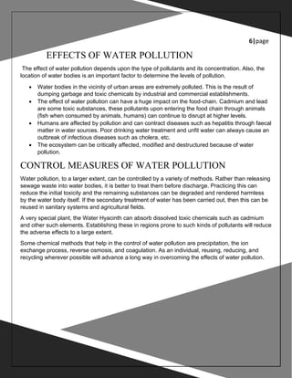 Pollution - Environmental Studies Project | PDF