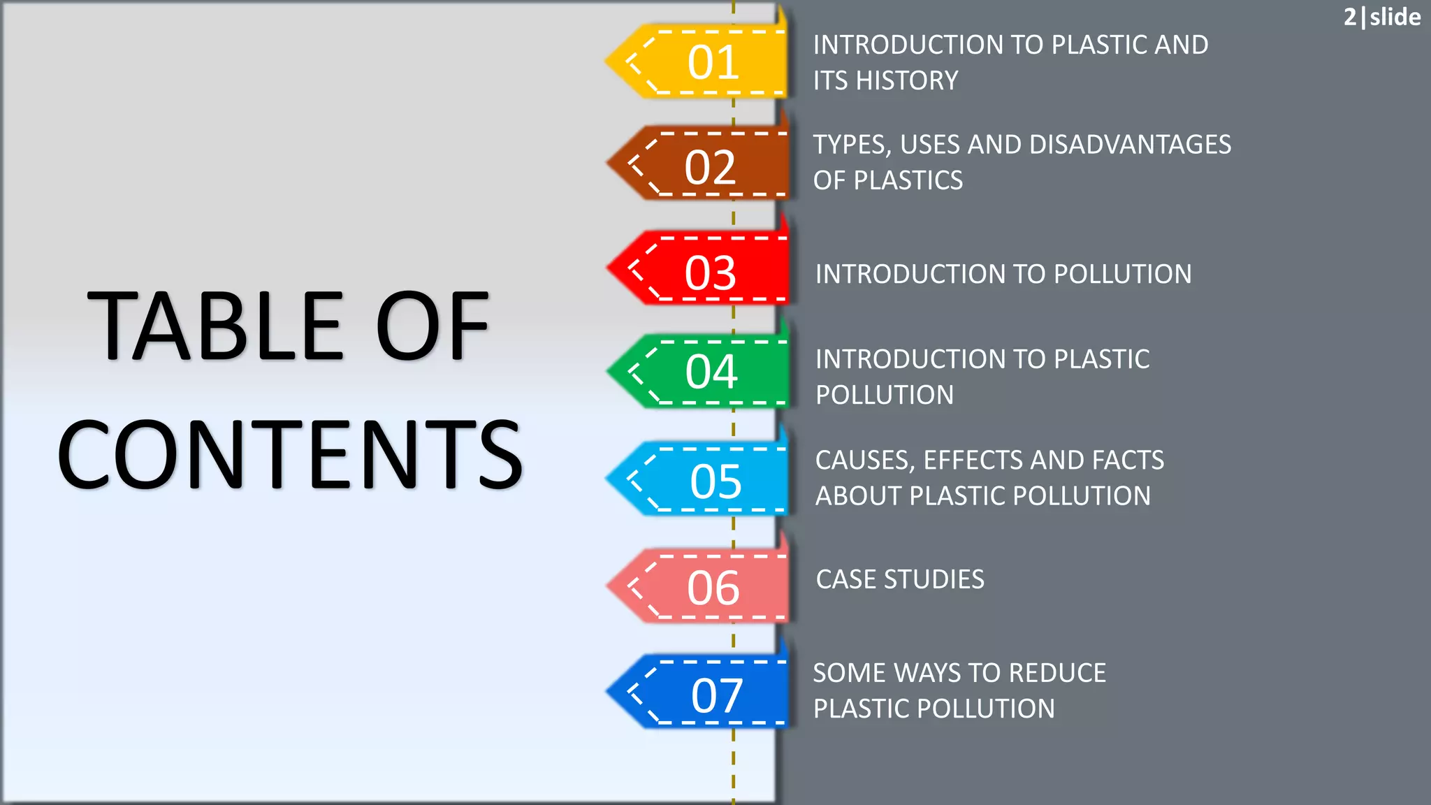 Envs project - Plastic Pollution | PDF