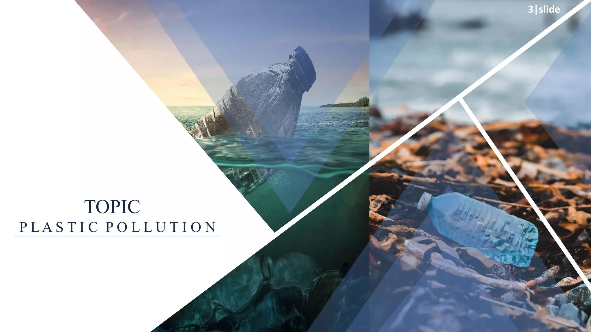Envs project - Plastic Pollution | PDF