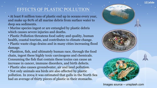 Envs project - Plastic Pollution | PDF | Environment | Science