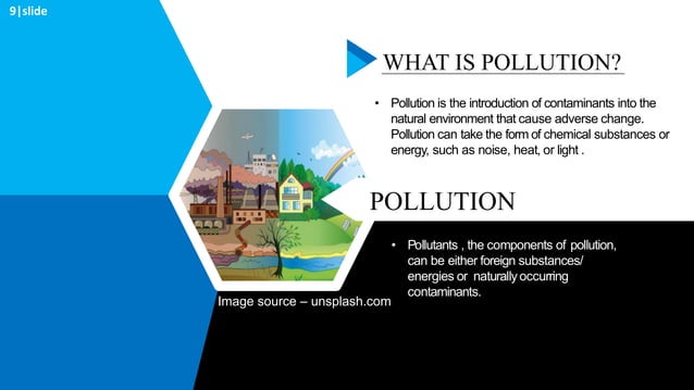 Envs project - Plastic Pollution | PDF | Environment | Science