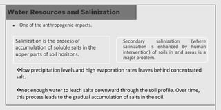 Natural and Anthropogenic Impacts on Sedimentation | PPT