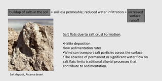 Natural and Anthropogenic Impacts on Sedimentation | PPTX