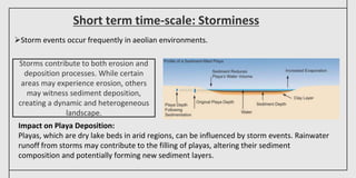 Natural and Anthropogenic Impacts on Sedimentation | PPTX
