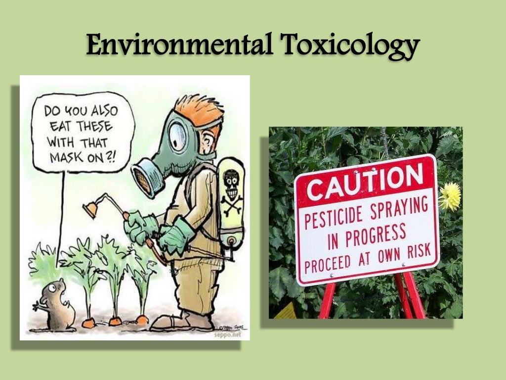 Environmental Toxicology