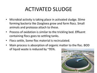 biotechnological approaches for advanced water treatment technology | PPT