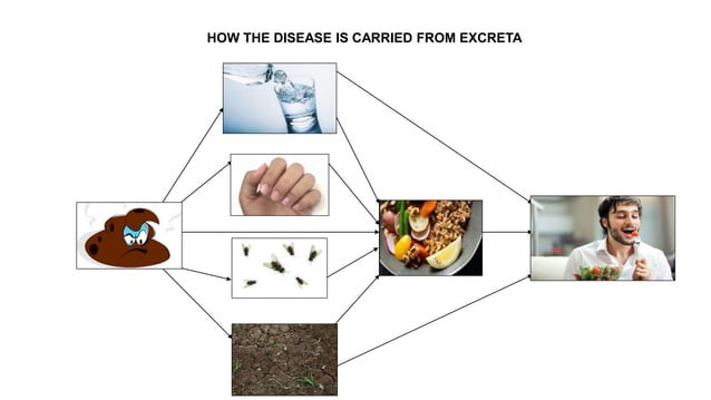 Solid waste management and excreta disposal | PPTX