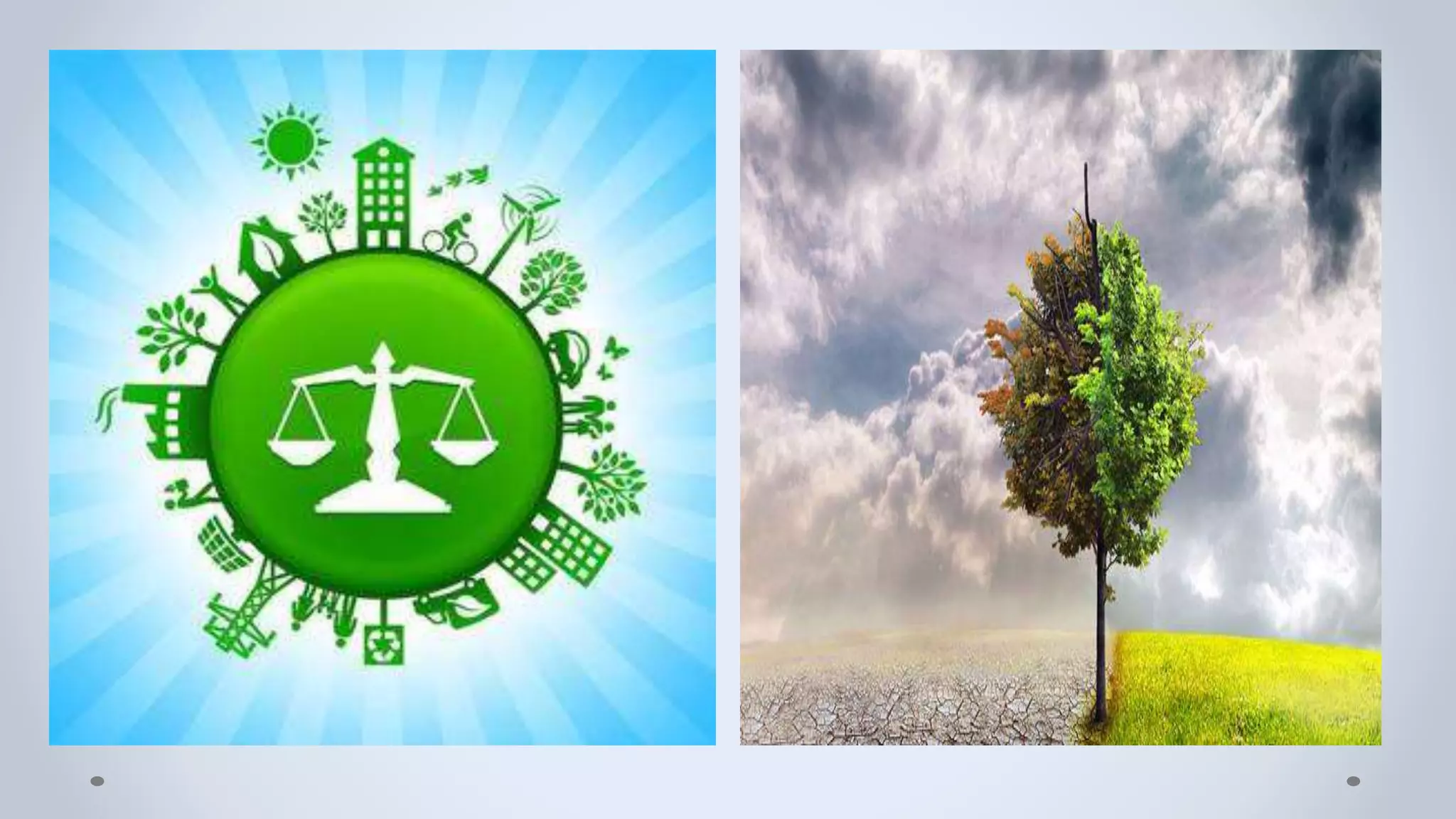 Envt Studies Introduction.pptx