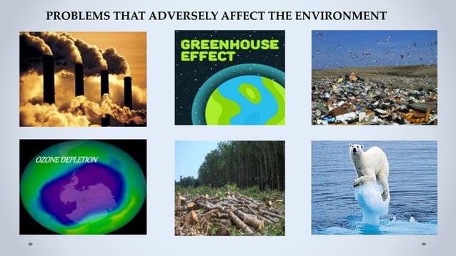 Envt Studies Introduction.pptx