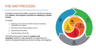 Virtual Learning Session | Climate action, gender equality, and ...