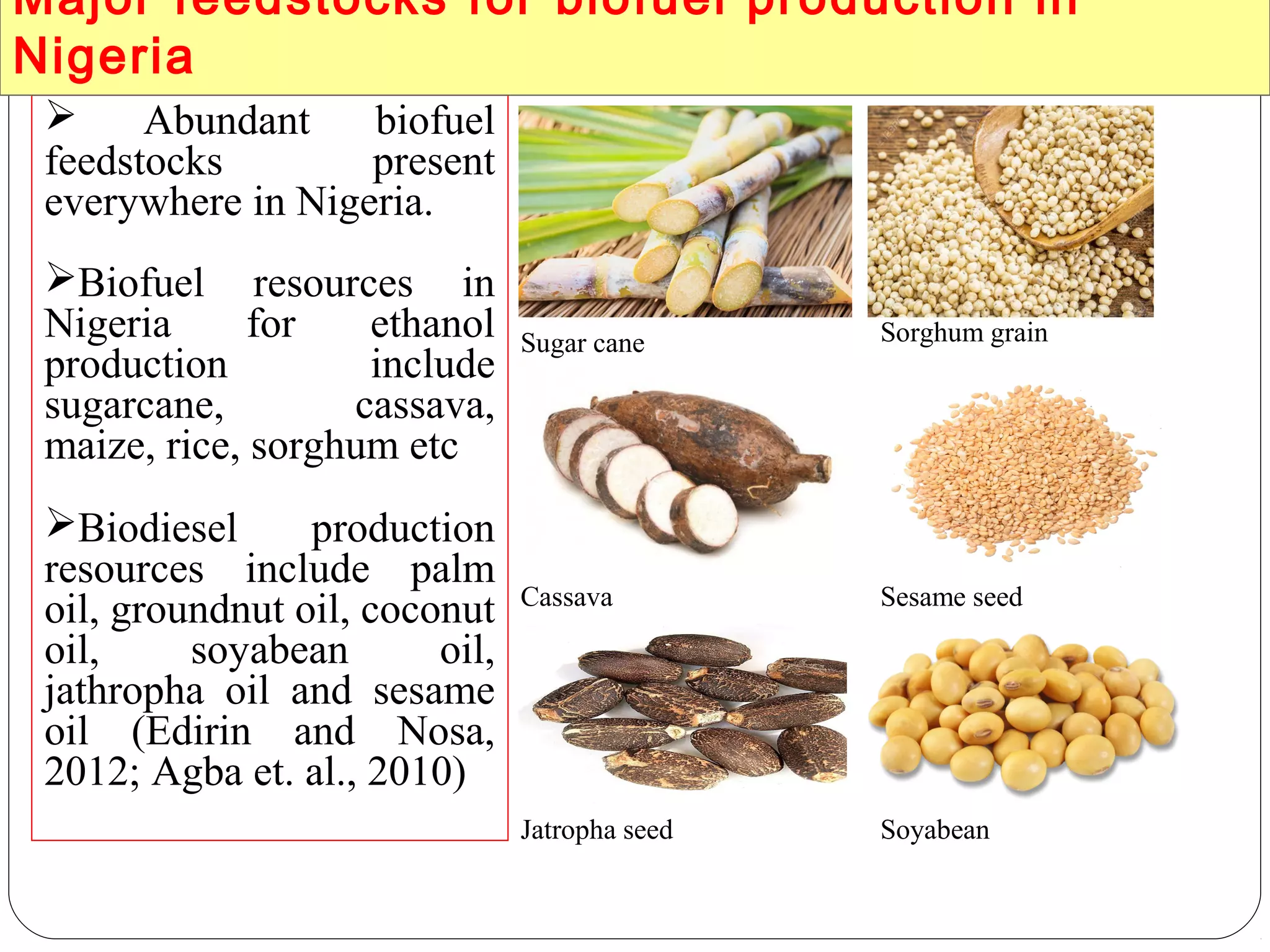 LIQUID BIOFUEL PRODUCTION IN NIGERIA: STATUS AND TOOLS FOR ...
