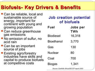 LIQUID BIOFUEL PRODUCTION IN NIGERIA: STATUS AND TOOLS FOR ...